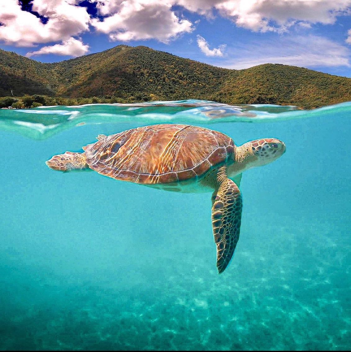 St. Thomas, USVI: Best Things to do, Places to Stay and Eat - She Wanders Solo